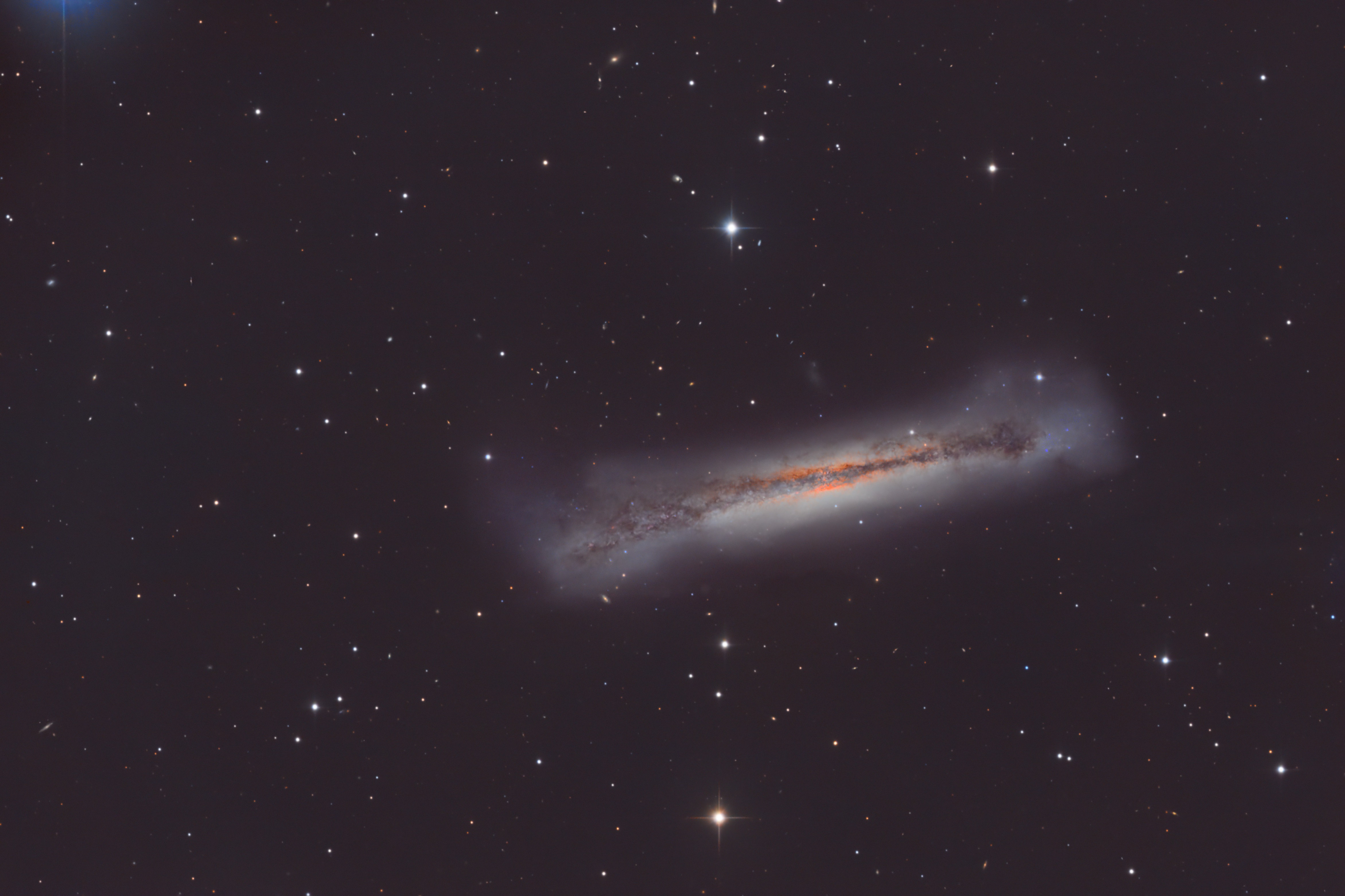 NGC 3628 | Telescope Live